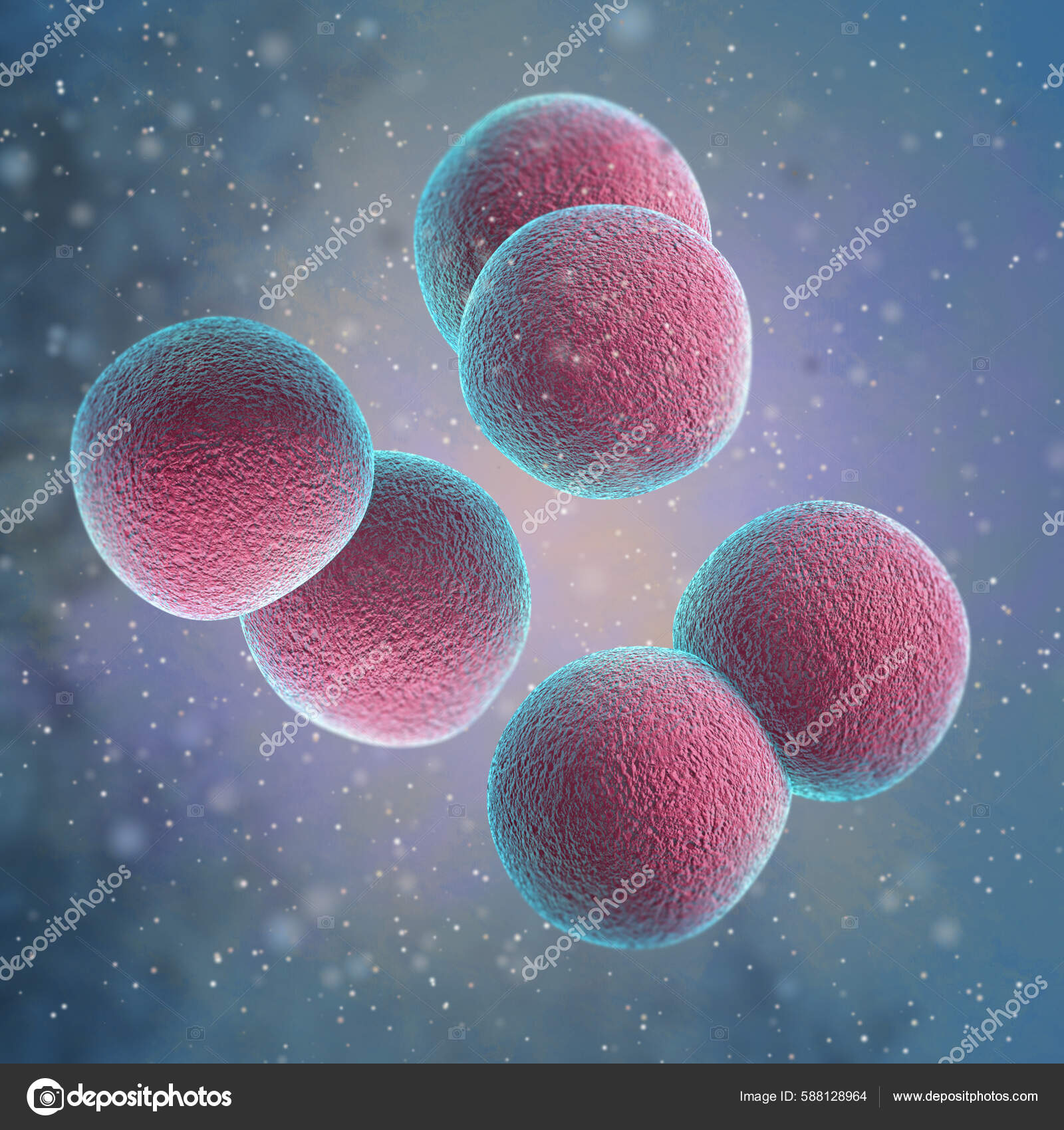 Medical Background Bacteria Cocci Diplococci Gram Negative Genus ...