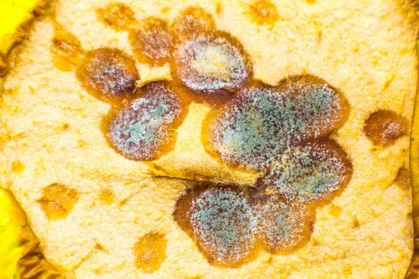 Bad apple Images - Search Images on Everypixel