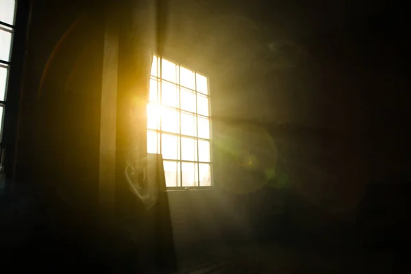 Sunshine window Images - Search Images on Everypixel