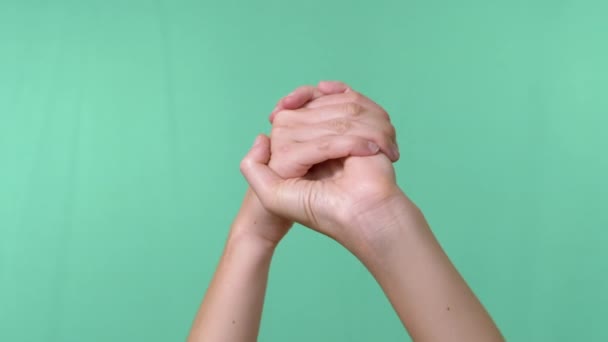 Handshake Female Hands Empty Isolated Green Chromakey Background ...