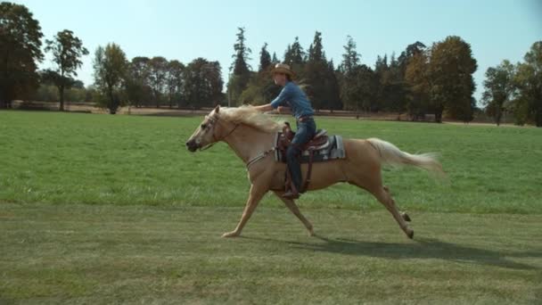 5,566 Woman on horseback Videos, Royalty-free Stock Woman on horseback ...