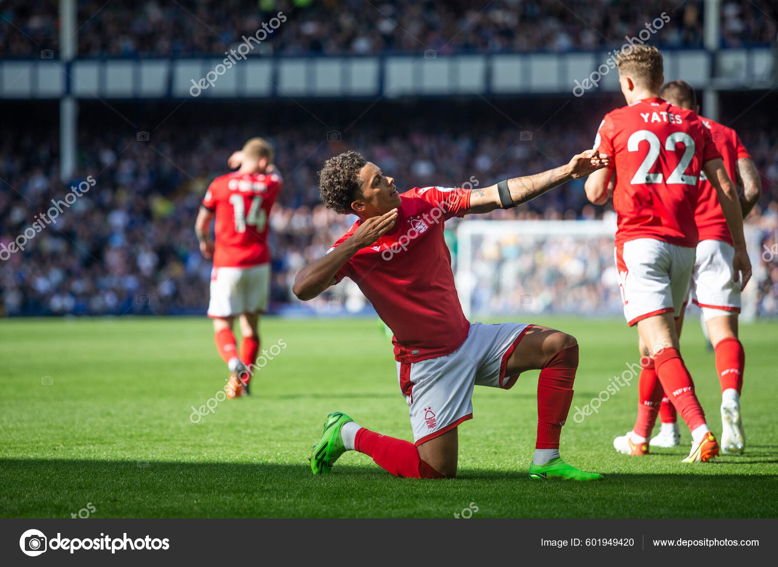 Brennan Johnson Nottingham Forest Celebrates Opening Scoring – Stock ... Brennan Johnson Nottingham Forest Celebrates Opening Scoring – Stock ...