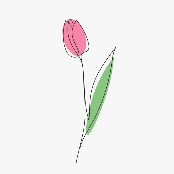 146 Tulip one line drawing Vector Images | Depositphotos