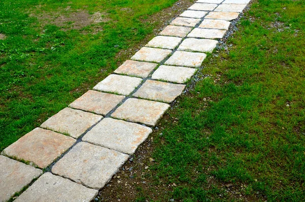 stepping path of concrete tiles in the lawn straight row of concrete ...