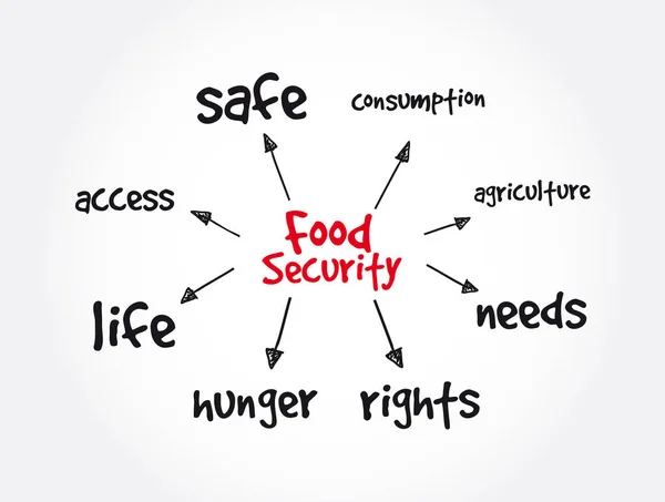Food Safety Mind Map Flowchart Concept Presentations Reports Stock ...