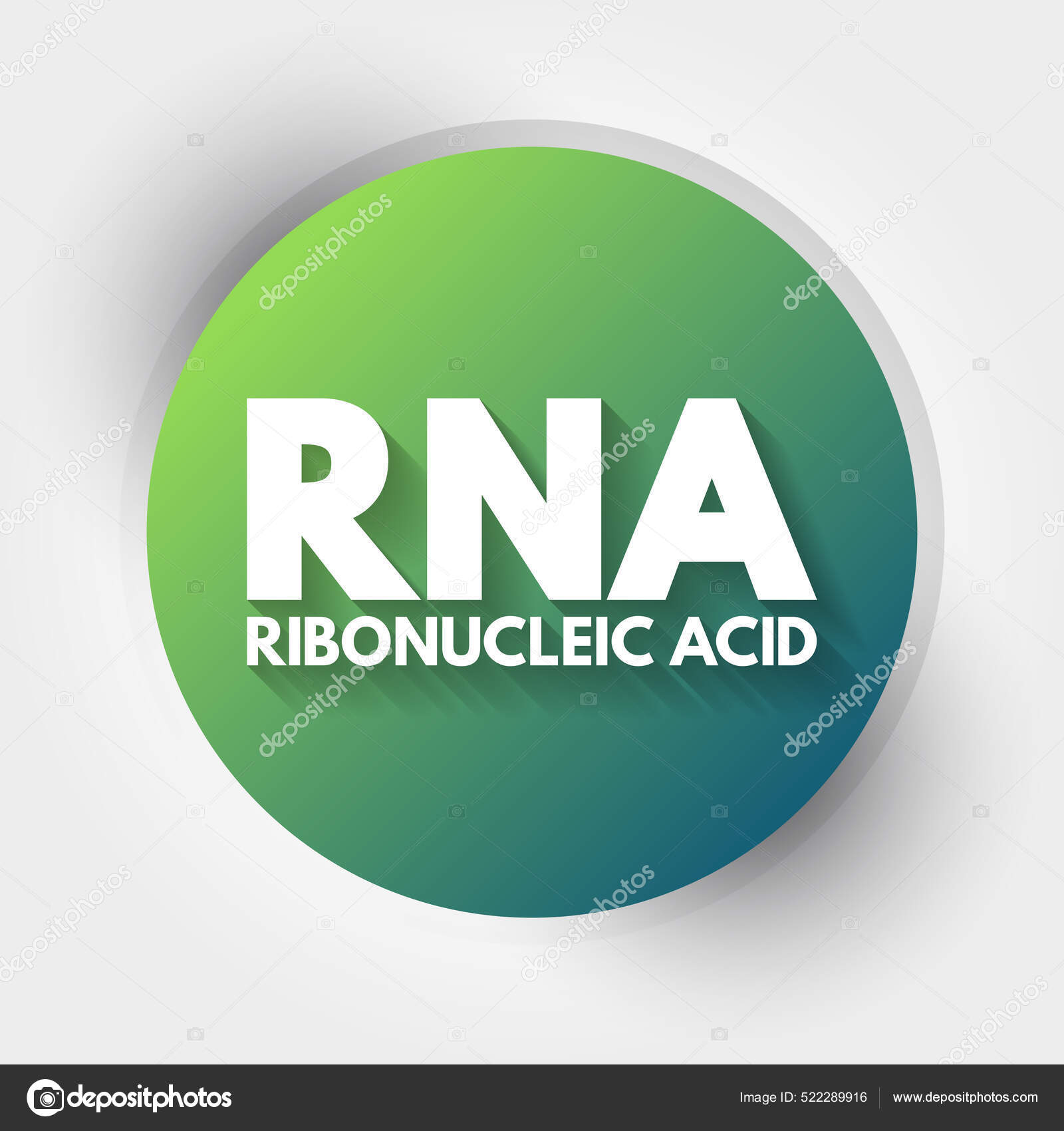 Rna Ribonucleic Acid Acronym Medical Concept Background Stock Vector by ...