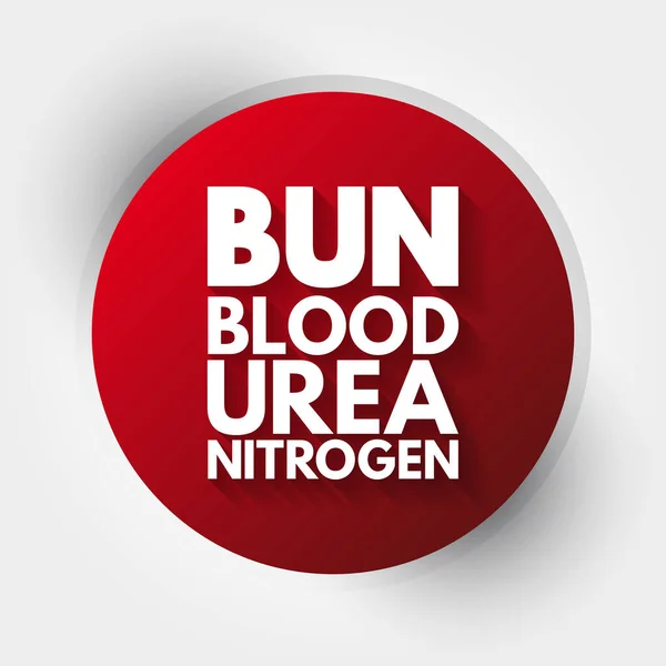 Bun Blood Urea Nitrogen Acronym Medical Concept Background Stock Vector ...