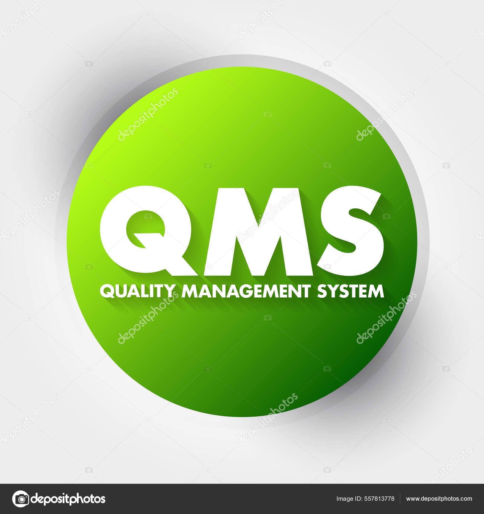 Qms Quality Management System Acronym Business Concept Background Stock ...