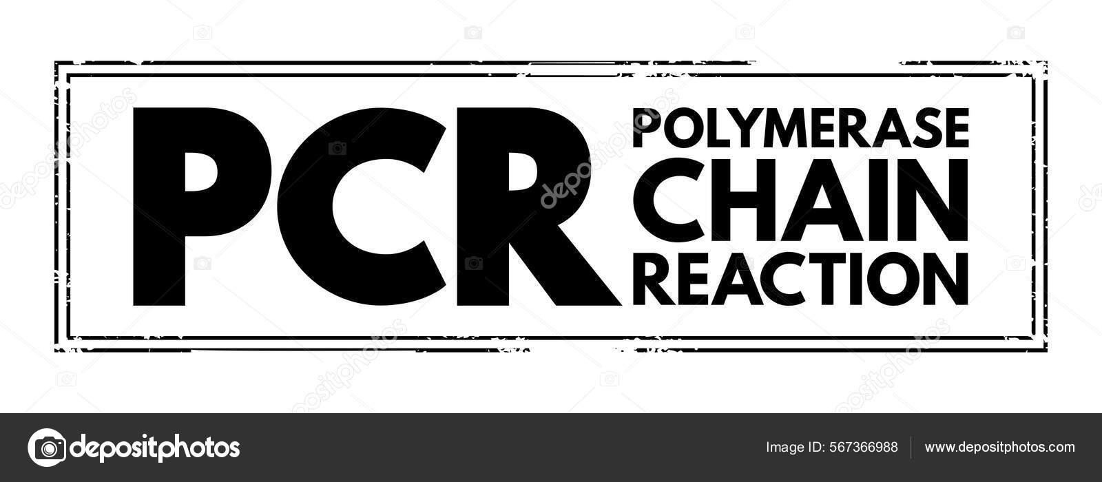 Pcr Polymerase Chain Reaction Laboratory Technique Used Amplify Dna ...