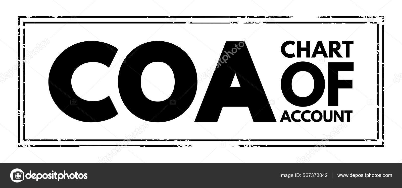 Coa Chart Account Index All Financial Accounts General Ledger Company ...