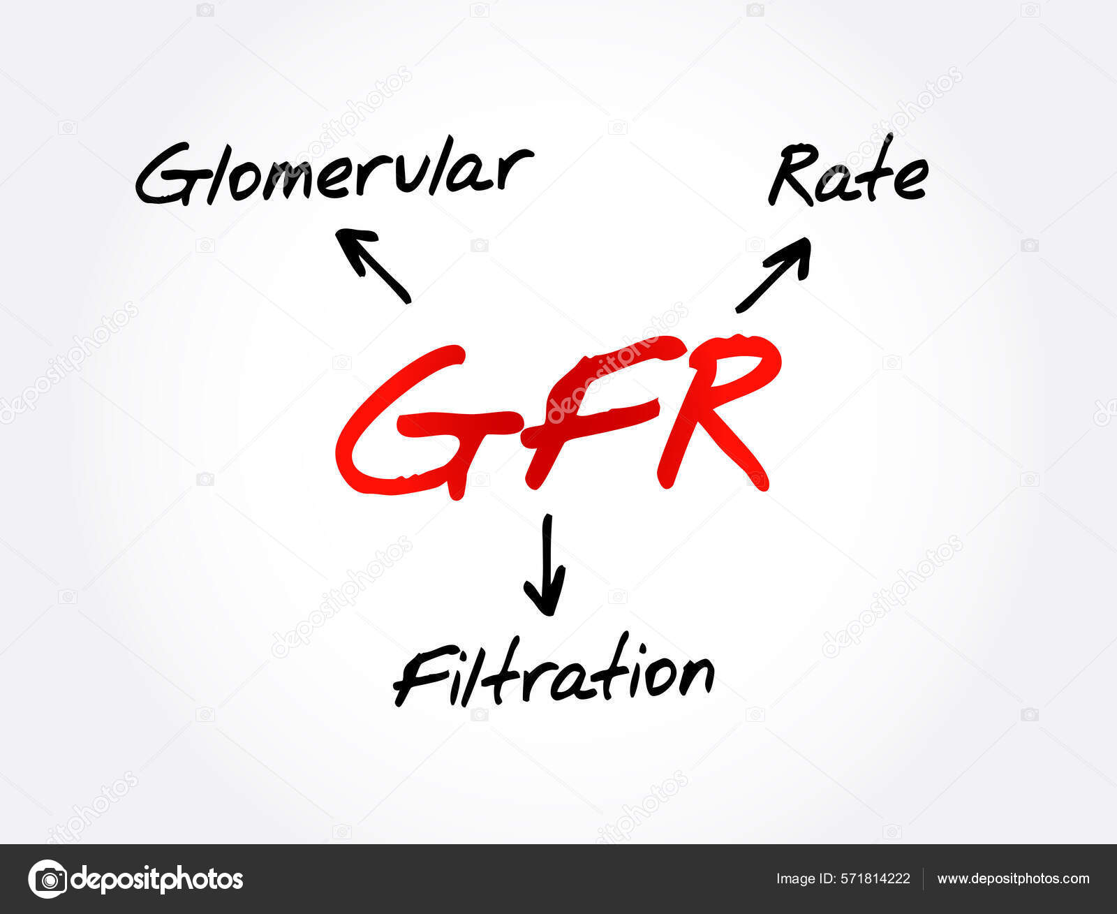Gfr Glomerular Filtration Rate Acronym Medical Concept Background Stock ...