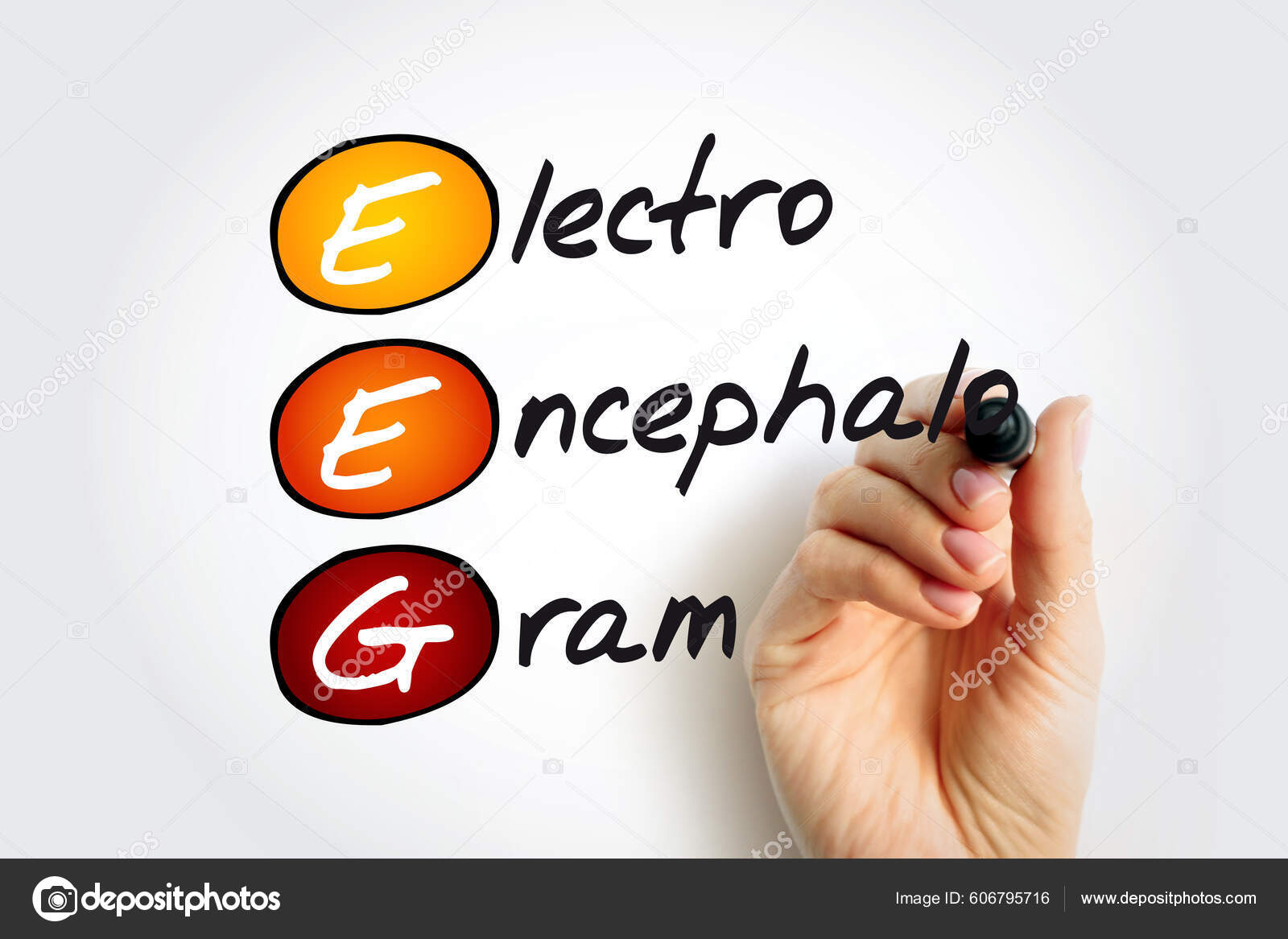 Electroencefalograma Eeg Prueba Que Registra Las Señales Eléctricas Del ...