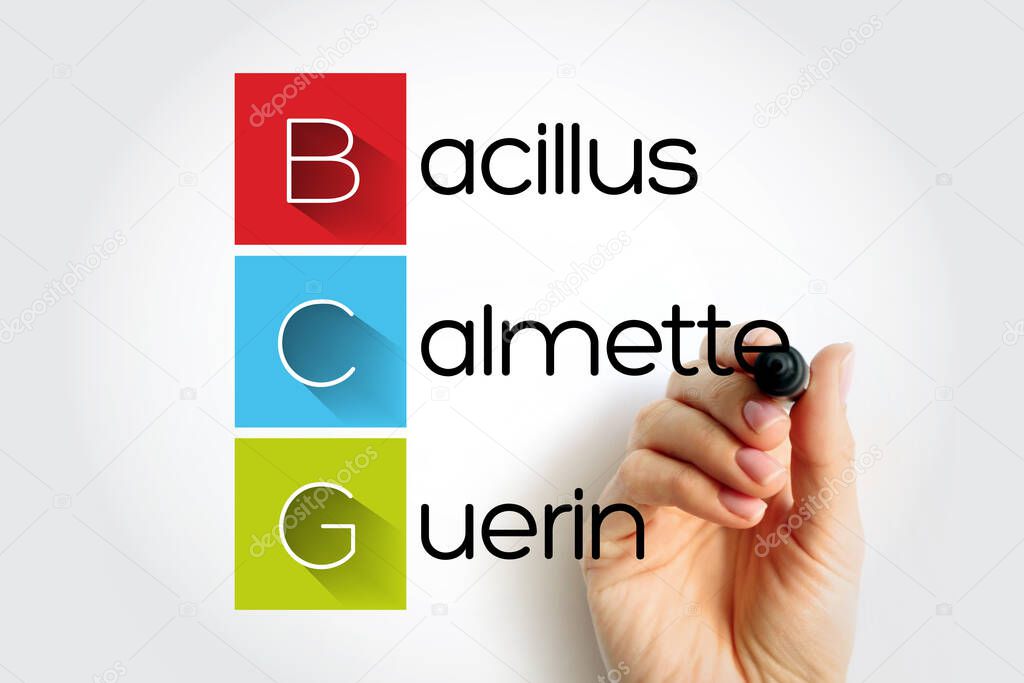 BCG Bacillus Calmette-Guerin - vacuna proporciona inmunidad o ...