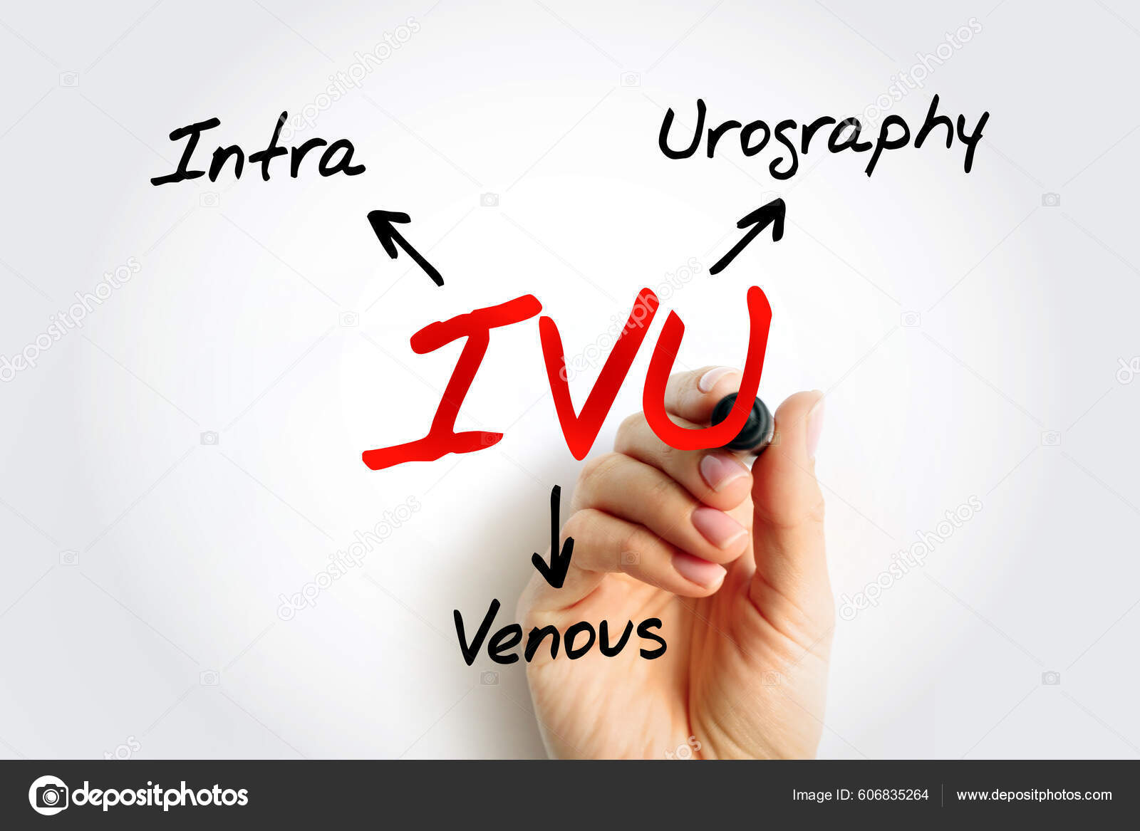 Ivu Intravenous Urography Ray Exam Your Urinary Tract Acronym Text ...