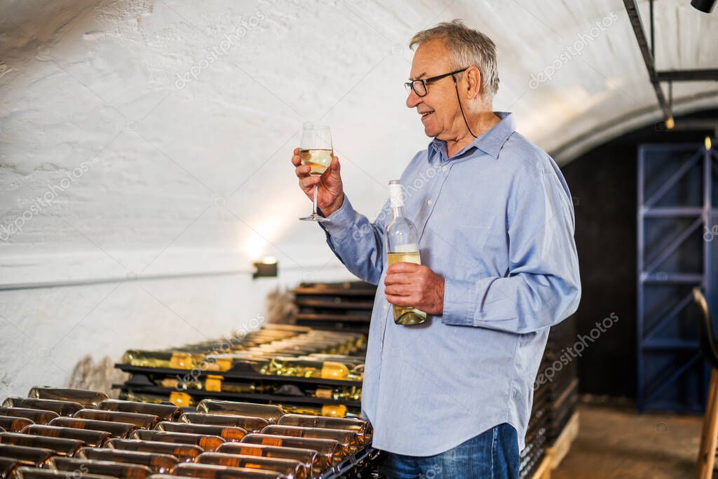 Retrato del hombre mayor que es due o de la bodega. Est examinando la ...