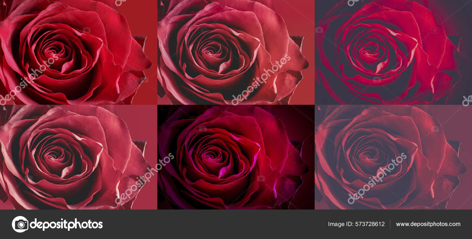 Fondos De Collage De Color Rosa Collage De Muchos Corazones Cortados