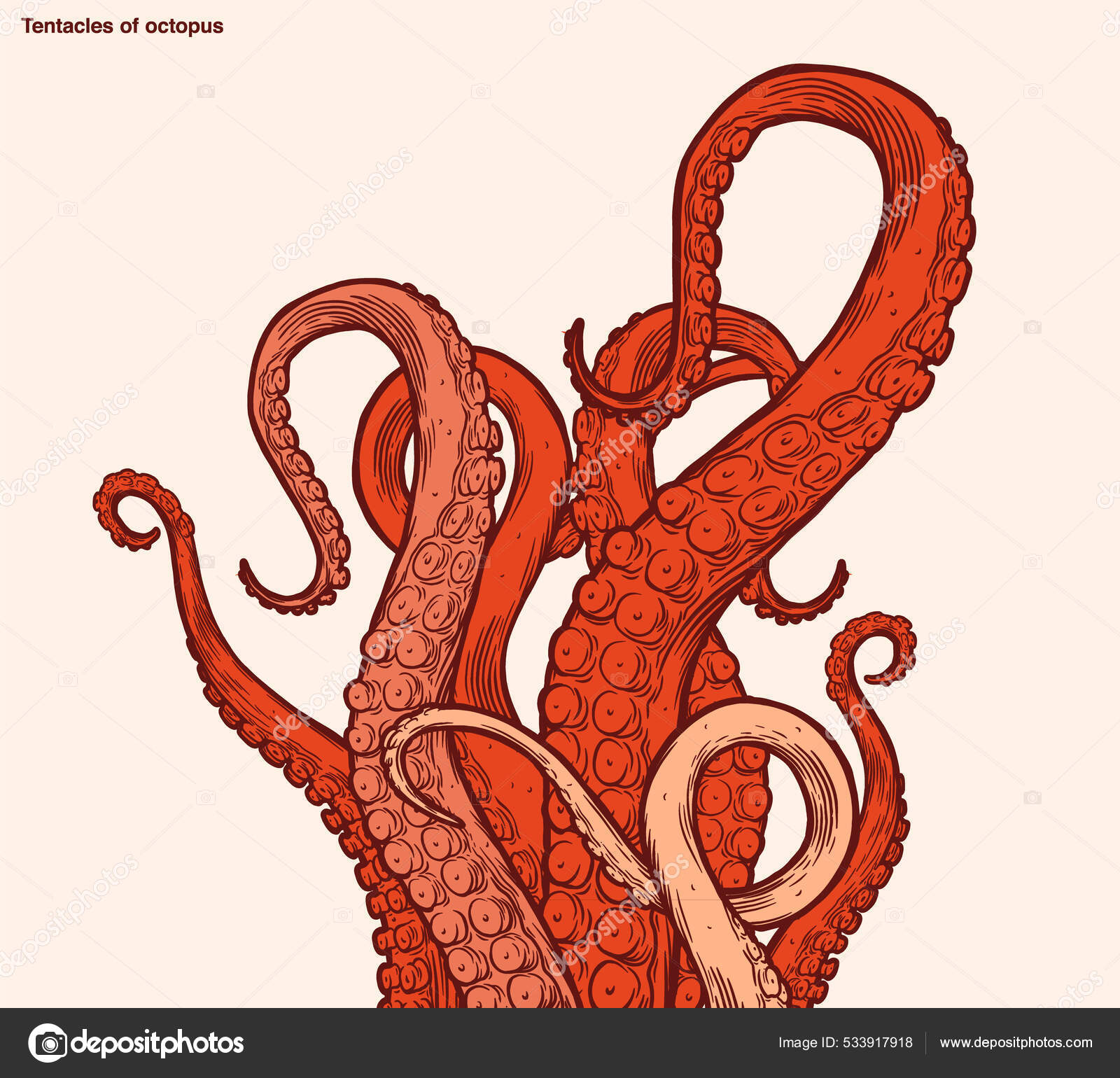 Squid Tentacles Drawing