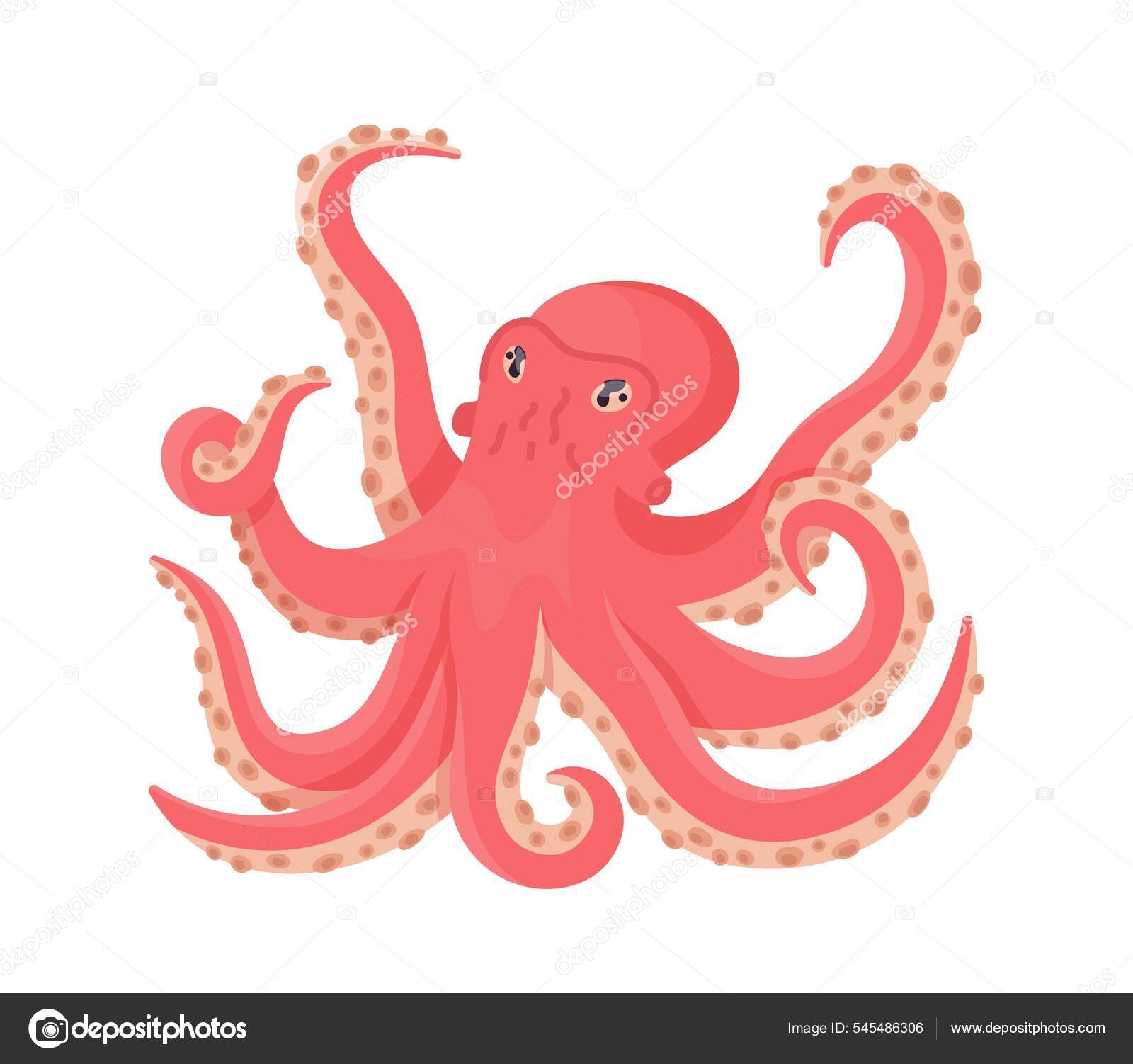 Pink Octopus Isolated White Background Stock Illustration by ©Sotisare ...