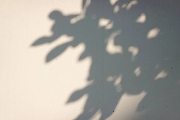 Autoportrait shadow Stock Photos, Royalty Free Autoportrait shadow ...