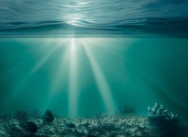 Light rays underwater Stock Photos, Royalty Free Light rays underwater ...
