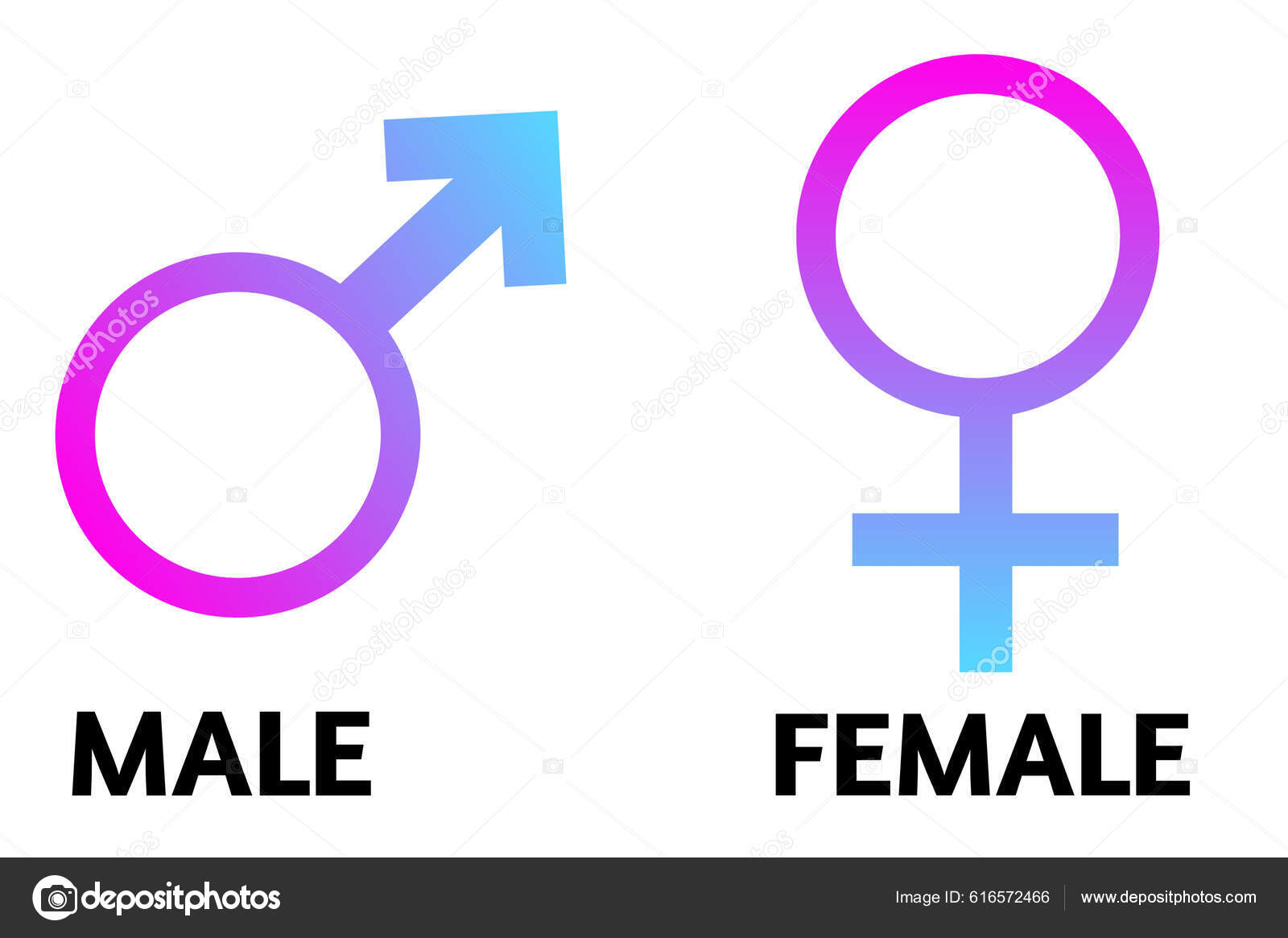 Gradient Colour Male Female Sexual Orientation Icon Symbol Shape Sign ...