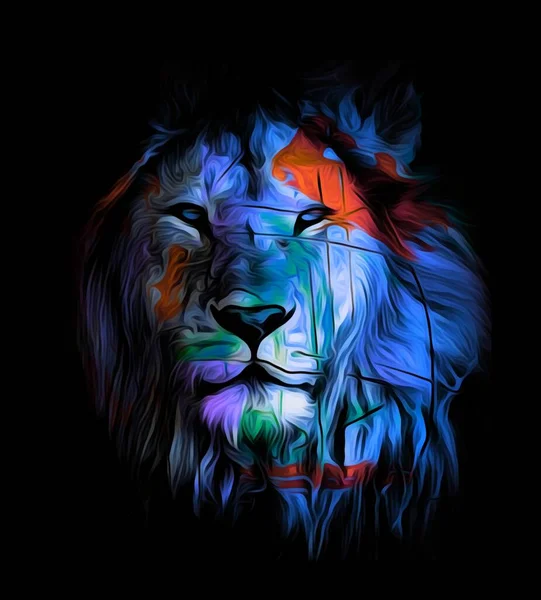 Go lions Stock Photos, Royalty Free Go lions Images | Depositphotos