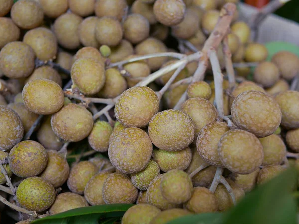 Longan cultivation Stock Photos, Royalty Free Longan cultivation Images ...