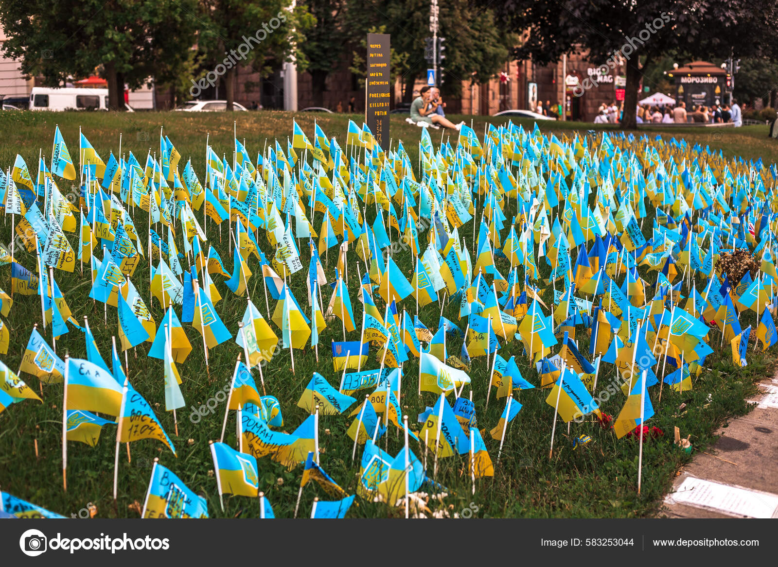 Ukrainian Flags Memory Fallen Soldiers Installed Maidan Nezalezhnosti ...
