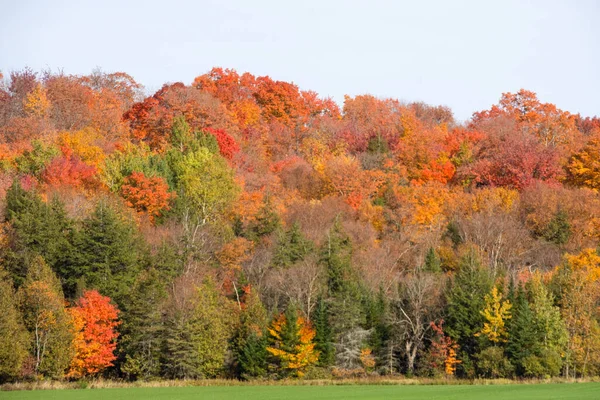 Quebec landscape Stock Photos, Royalty Free Quebec landscape Images ...