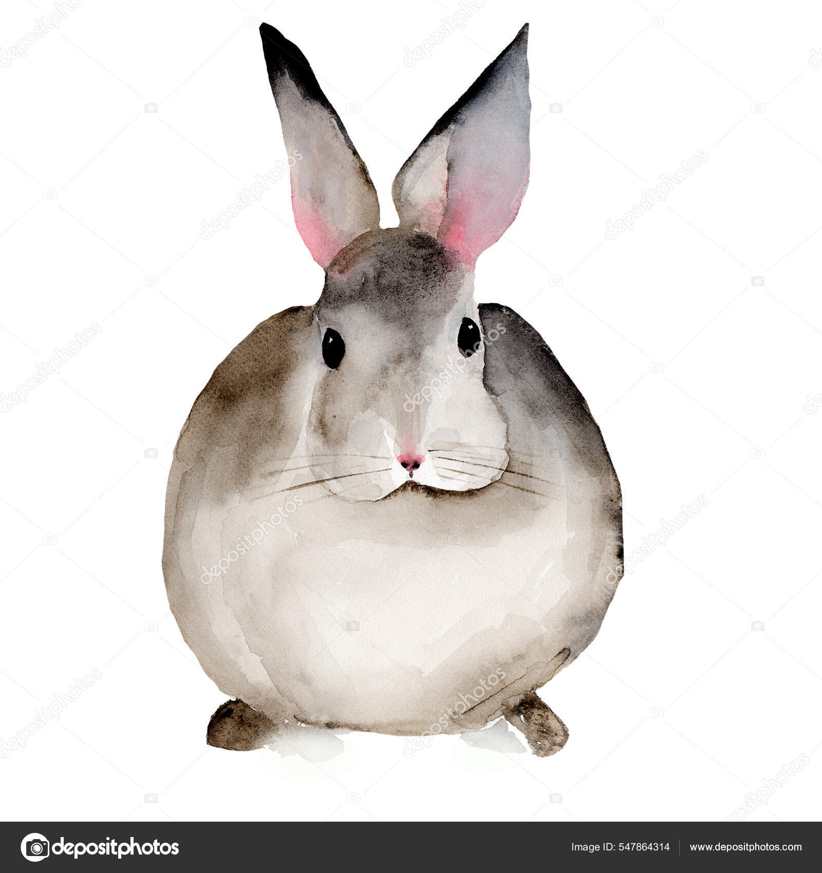Watercolor Fat Rabbit Illustration Hare Big Ears Isolated White ...