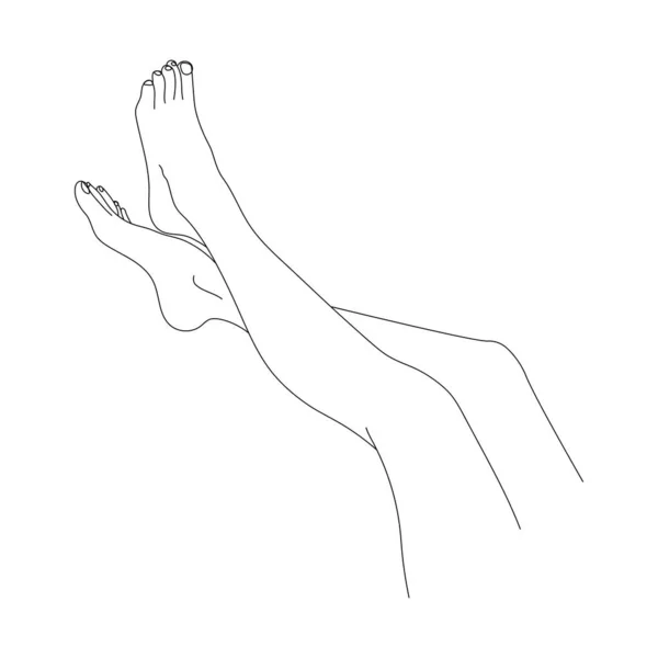 88 Extremidades Stock Illustrations | Depositphotos