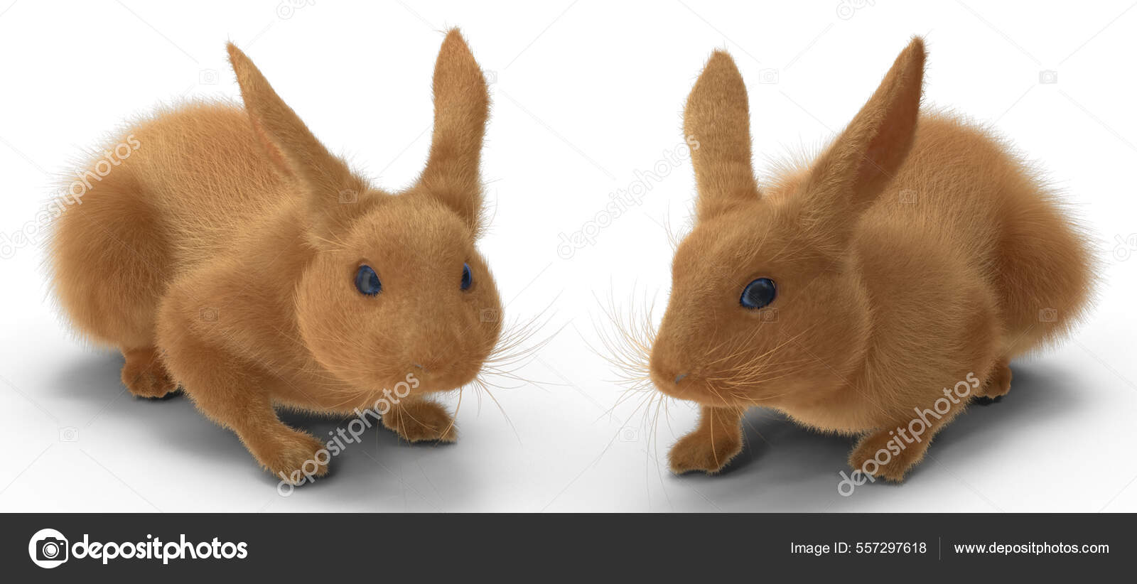 Rabbit Poses Set Isolated Background Rendering Stock Photo by ...