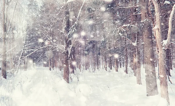 January Snow Clipart