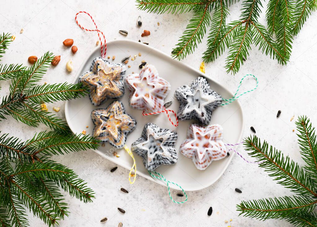 Pasteles de estrellas colgantes caseros como comedero de aves con ...