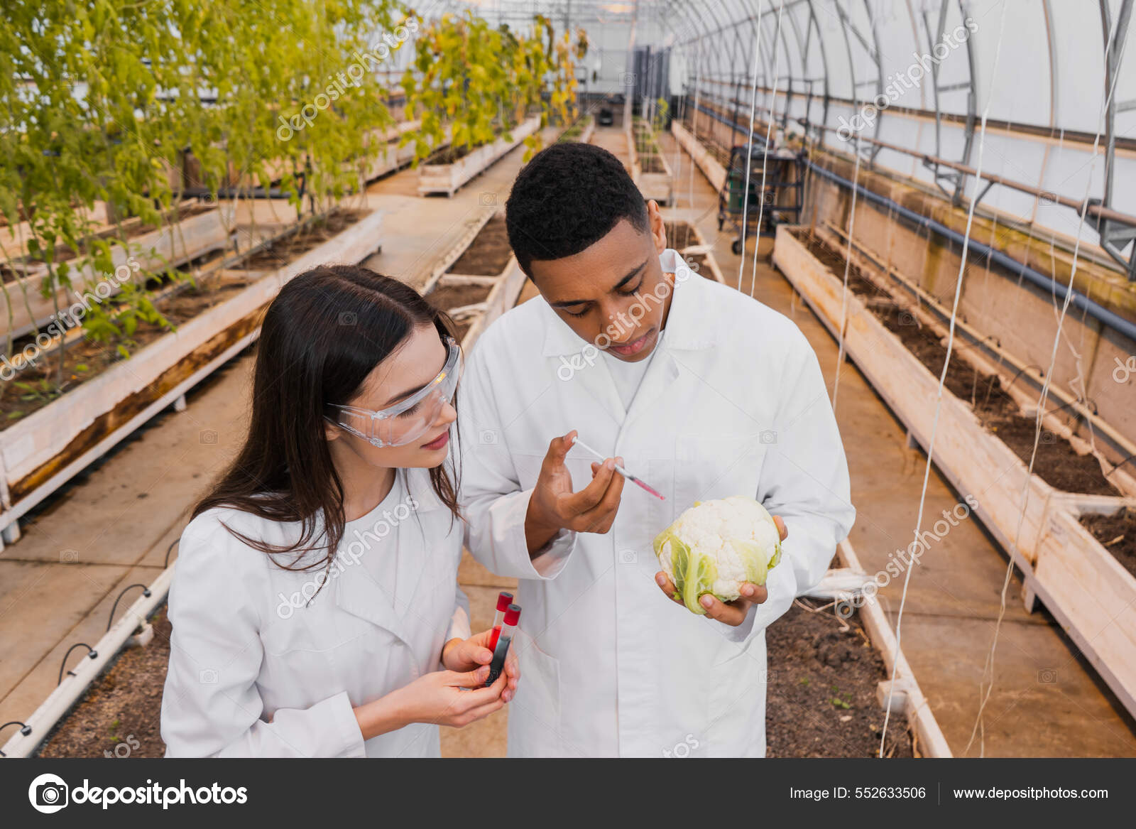 African American Botanist Holding Syringe Cauliflower Colleague Test ...