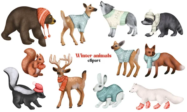 Winter Animals Clip Art