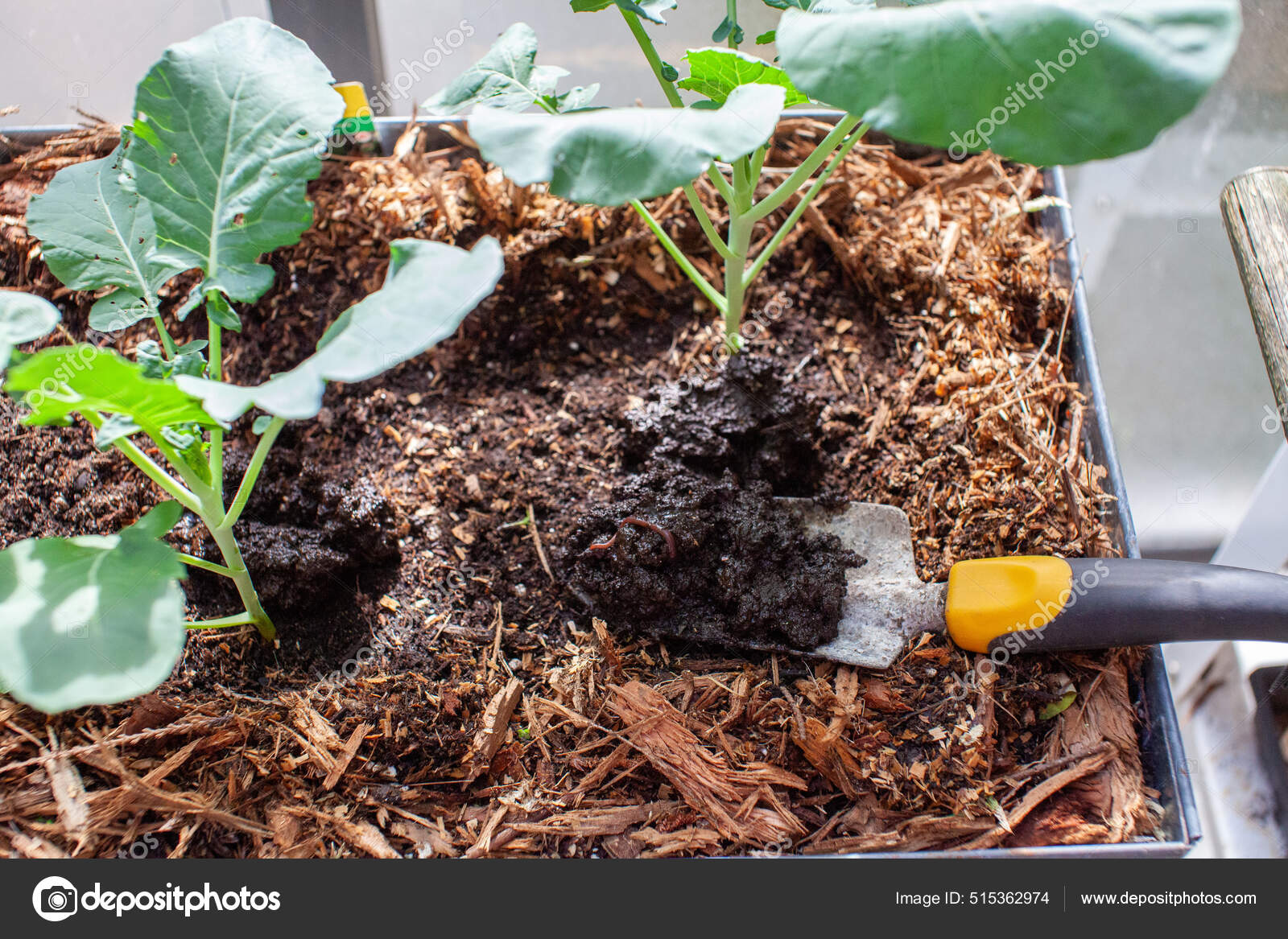 Garden Shovel Harvest's Fresh Worm Castings Compost Vermicomposter Top ...