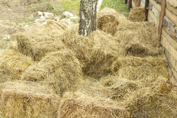 Straw fort Stock Photos, Royalty Free Straw fort Images | Depositphotos