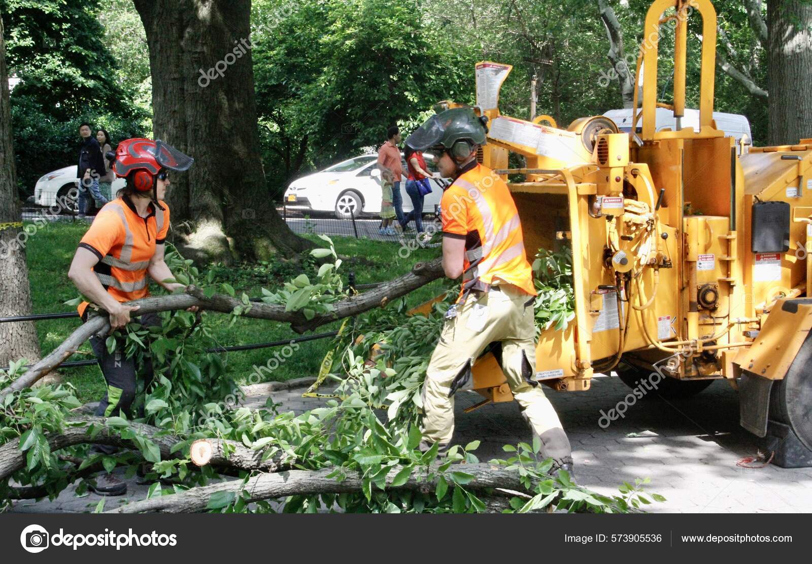 Fallen Tree Due Heavy Rainfall Front Central Park Zoo May – Stock ...
