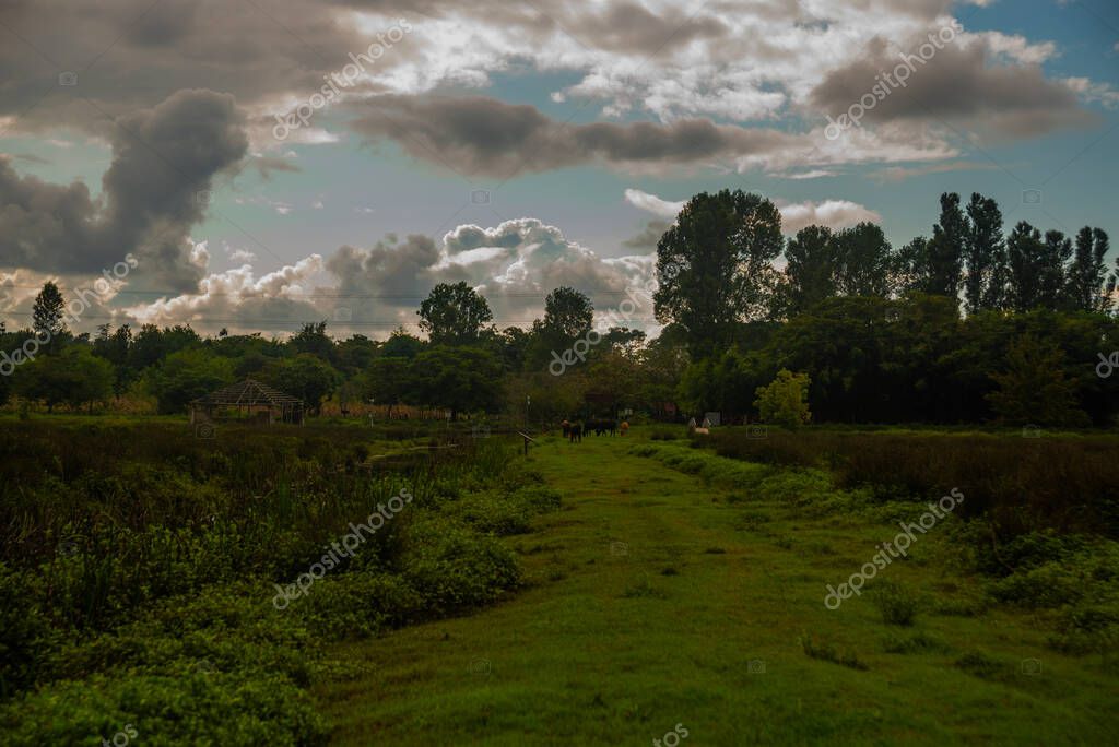 KOBULETI, GEORGIA: Marismas raras y únicas de Ispani en la Reserva ...