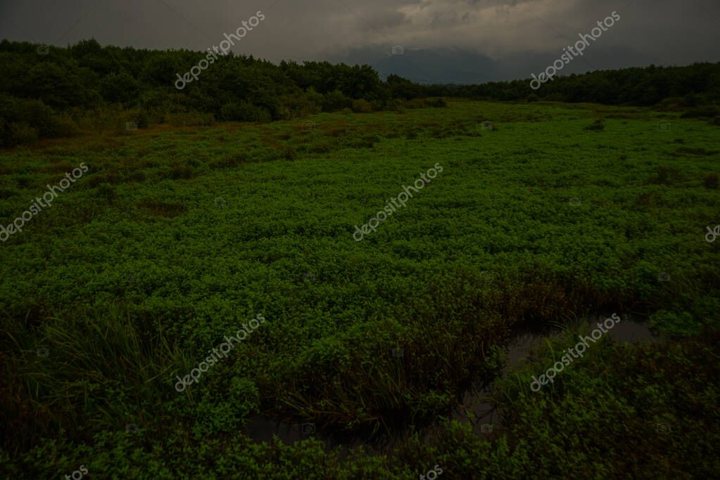 KOBULETI, GEORGIA: Marismas raras y únicas de Ispani en la Reserva ...