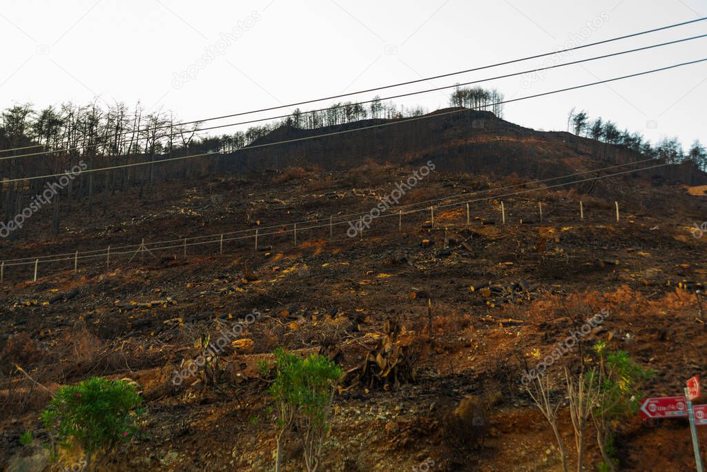 ICMELER, MARMARIS, MUGLA, TURQUÍA: Las consecuencias de un incendio en ...