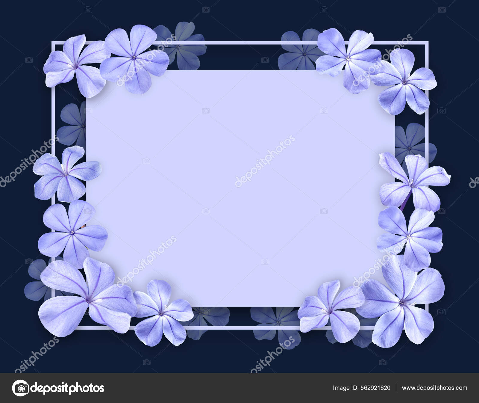 Hydrangea Purple Flowers Square Frame Wedding Romantic Postcard ...