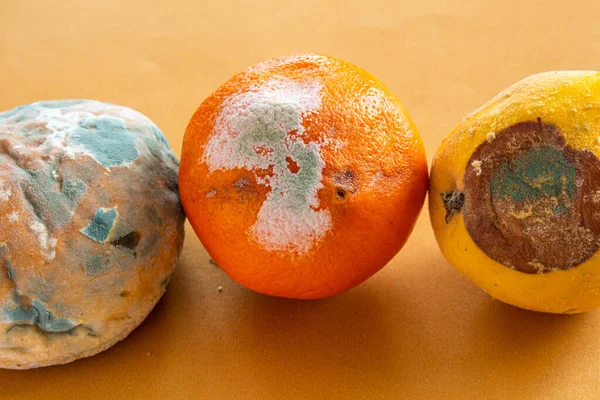 Rotten food Images - Search Images on Everypixel