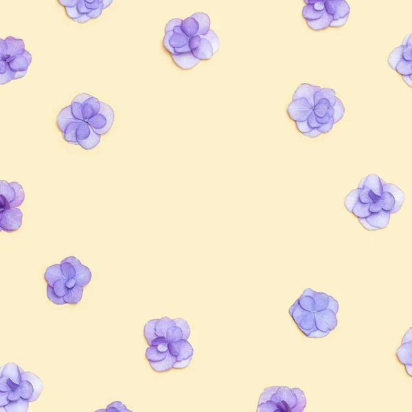 Fotos de Bloem voor plum, Imagens de Bloem voor plum sem royalties ...