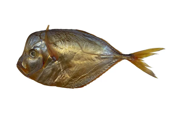 Ray fish Stock Photos, Royalty Free Ray fish Images | Depositphotos