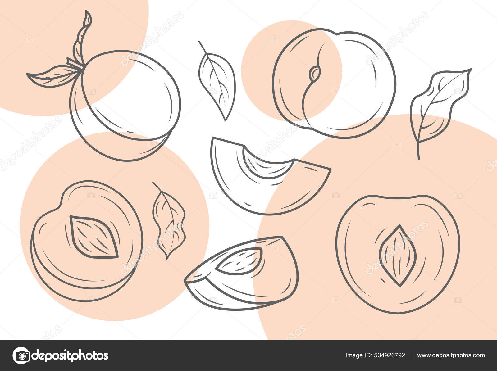 Set of line art peach Stock Vector Image by ©edgecreative01@gmail.com ...