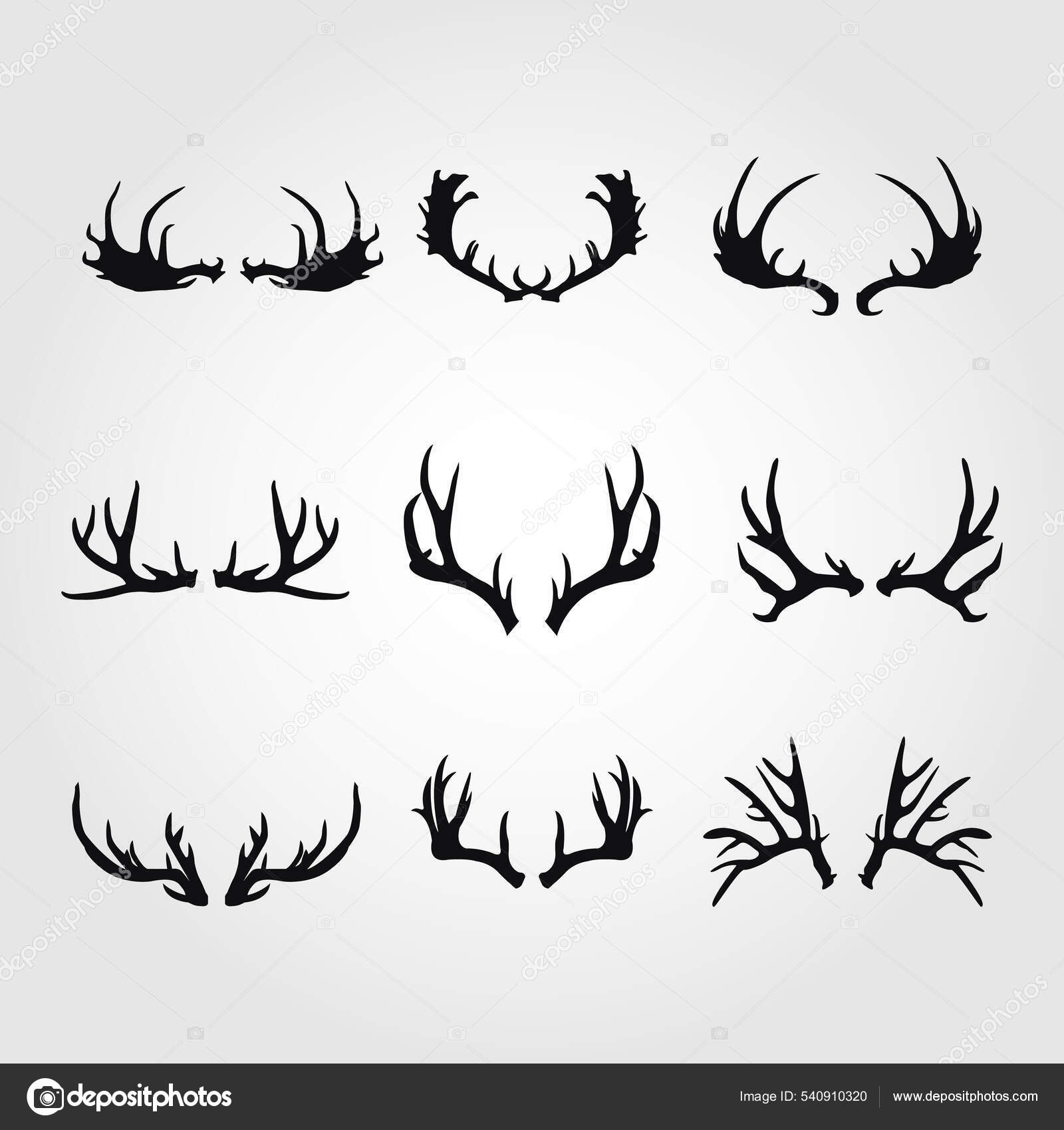 Set Deer Antlers Icon Vector Set Stock Vector by ©PrastHF 540910320