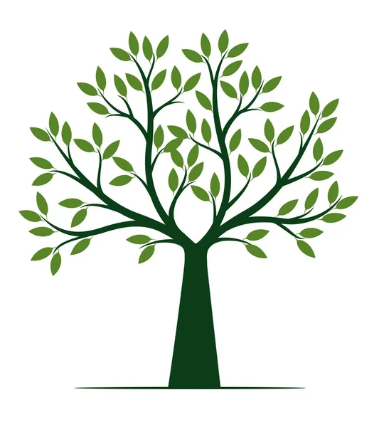 Green vector Tree. Vector Illustration. Park and Nature. Stock Vector by ©rolandtopor 133294970