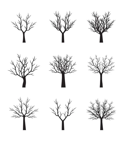 Tree line up Stock Photos, Royalty Free Tree line up Images | Depositphotos